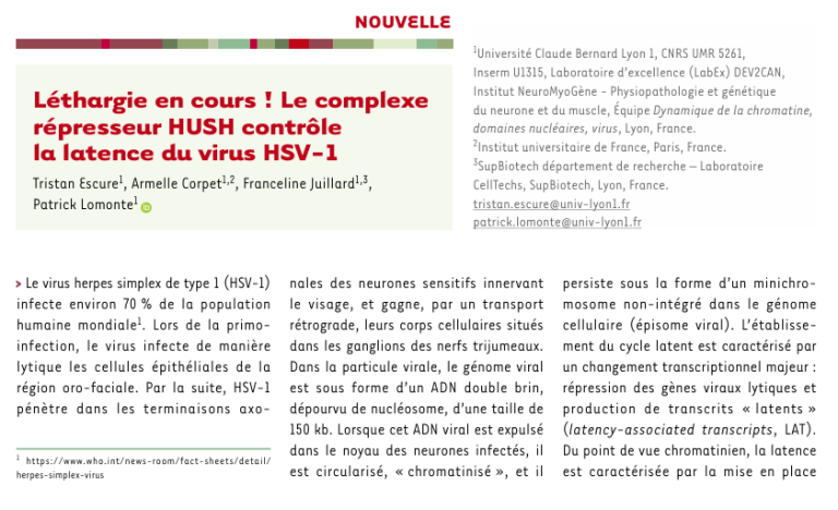 Nouvelle publication sur le virus HSV-1 - La recherche à SupBiotech
